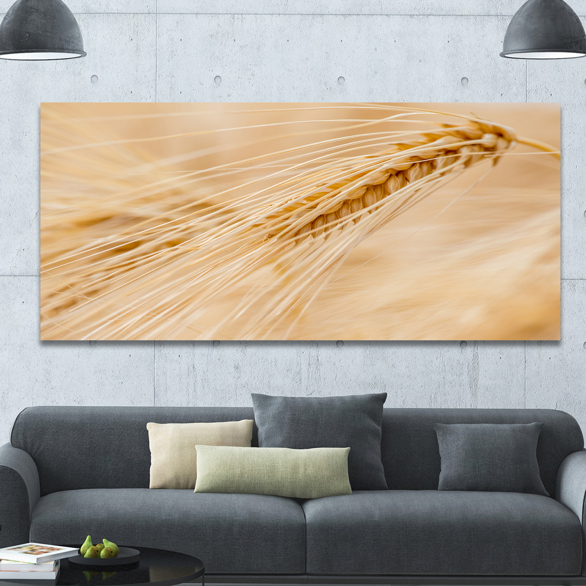 Cereal Plants Barley, Floral Canvas Art Print, 60"x28" - Farmhouse ...