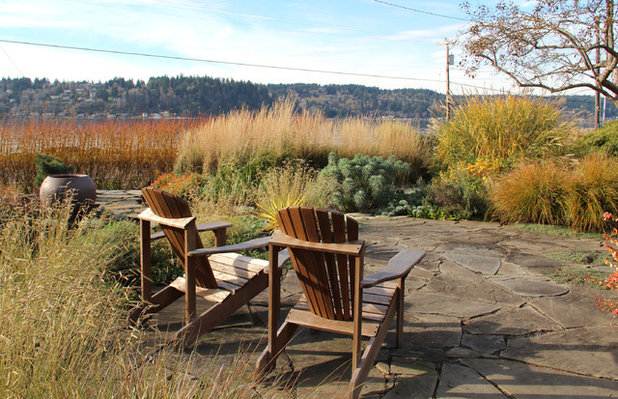 Unifying and Beautifying a Washington Island Landscape