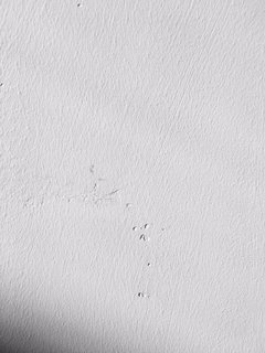 How do I touch up sprayed stipple/texture paint?