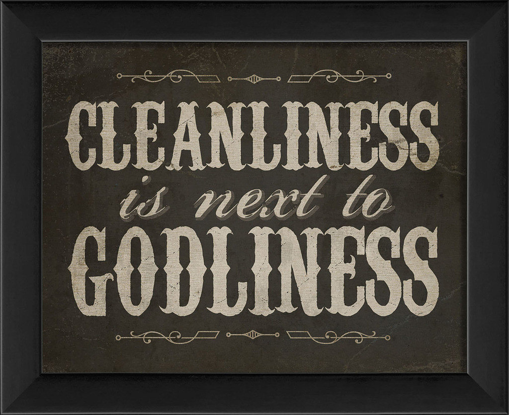 Cleanliness Framed Sign - Contemporary - Novelty Signs - by Art ...