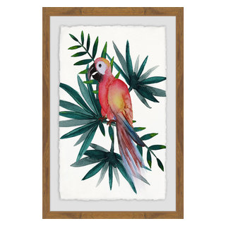 "Red Parrot" Framed Painting Print, 16"x24" - Tropical - Prints And ...