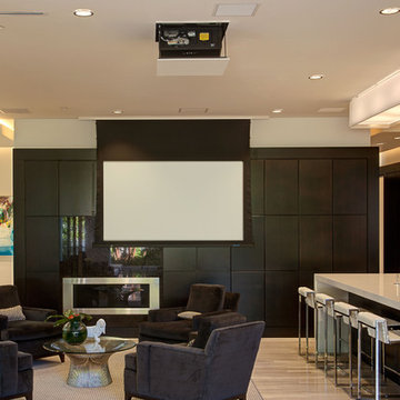 Projector Screen Over Fireplace - Photos & Ideas | Houzz