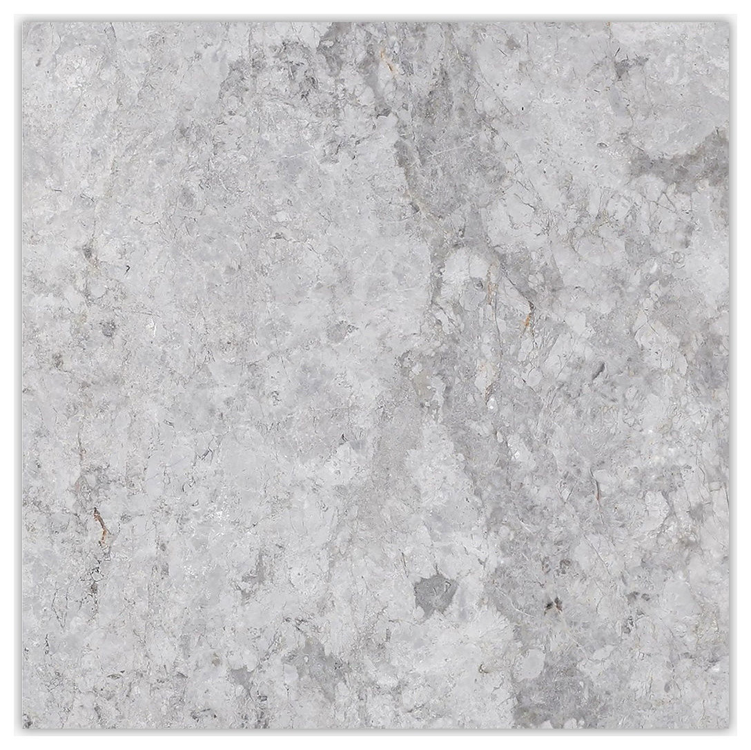 Silver Gray Light Polished 12x12 Marble Tile, 12x12 - Traditional ...