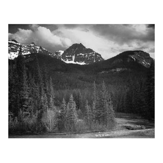 "Streamside trees, Northeast, Yellowstone NP, 1941-1942" Paper Art, 18 ...