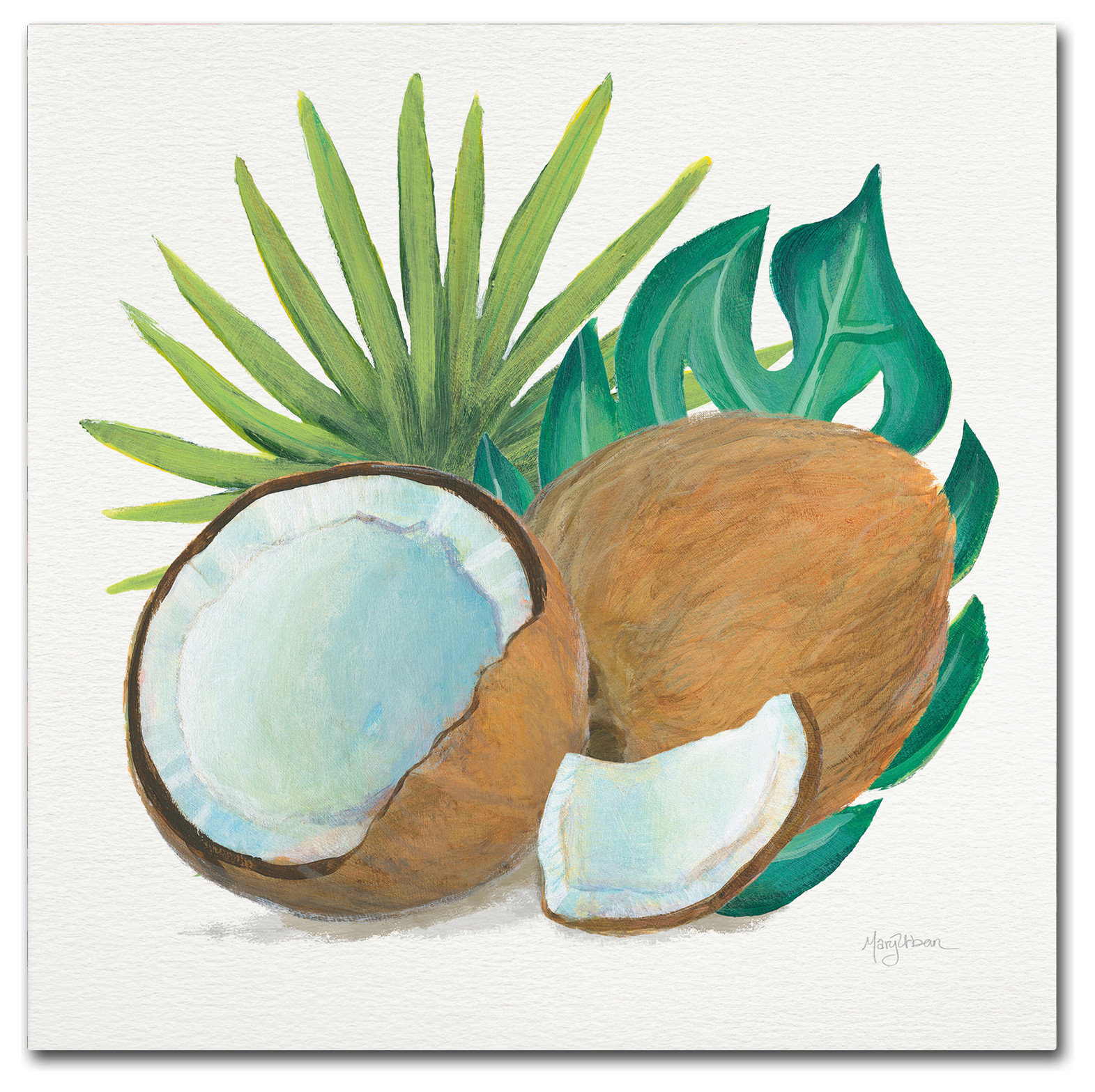 Mary Urban 'Coconut Palm V' Canvas Art, 14"x 14" - Tropical - Prints ...