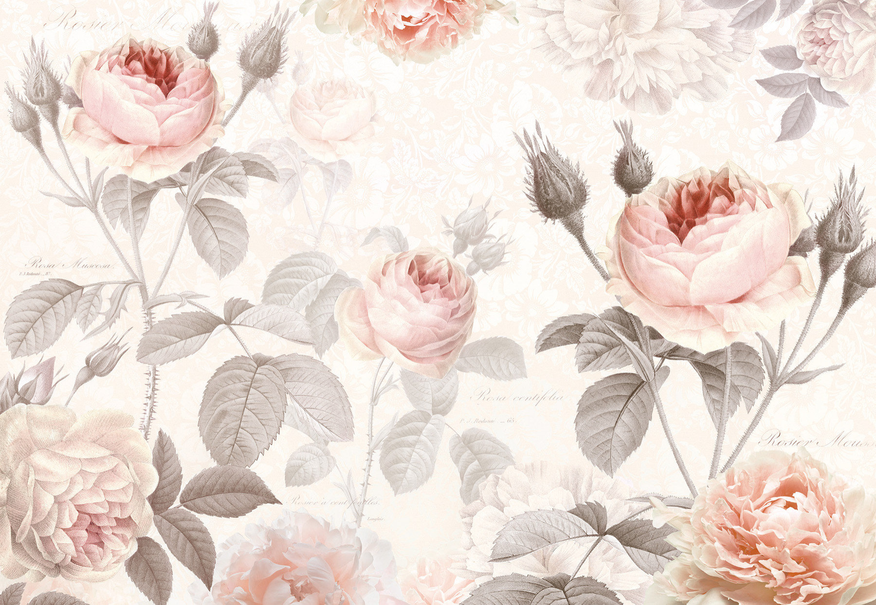 La Maison Wall Mural - Traditional - Wallpaper - by Brewster Home ...