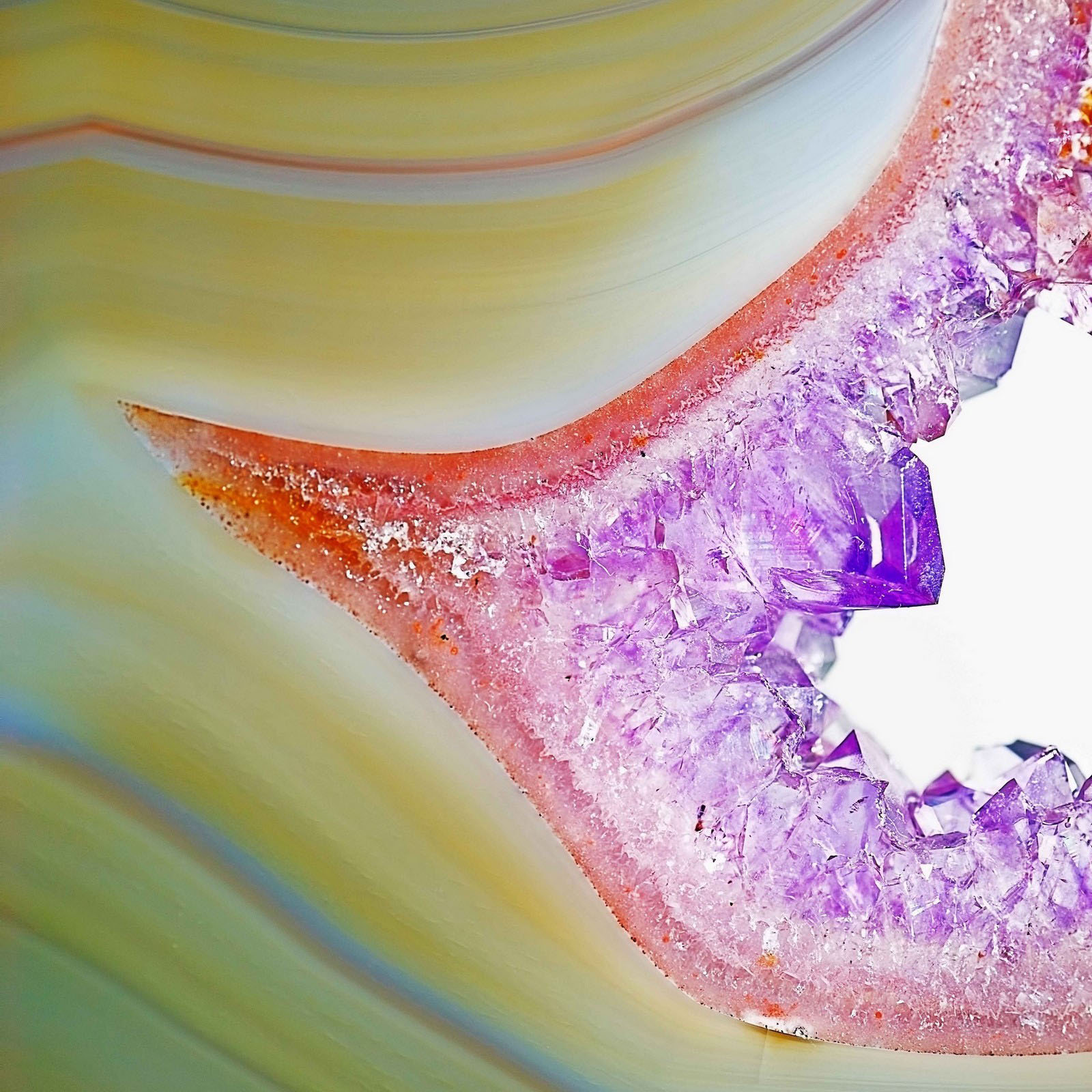 "Wheeler" Painting Print on Canvas, 18"x18" - Contemporary - Prints And ...