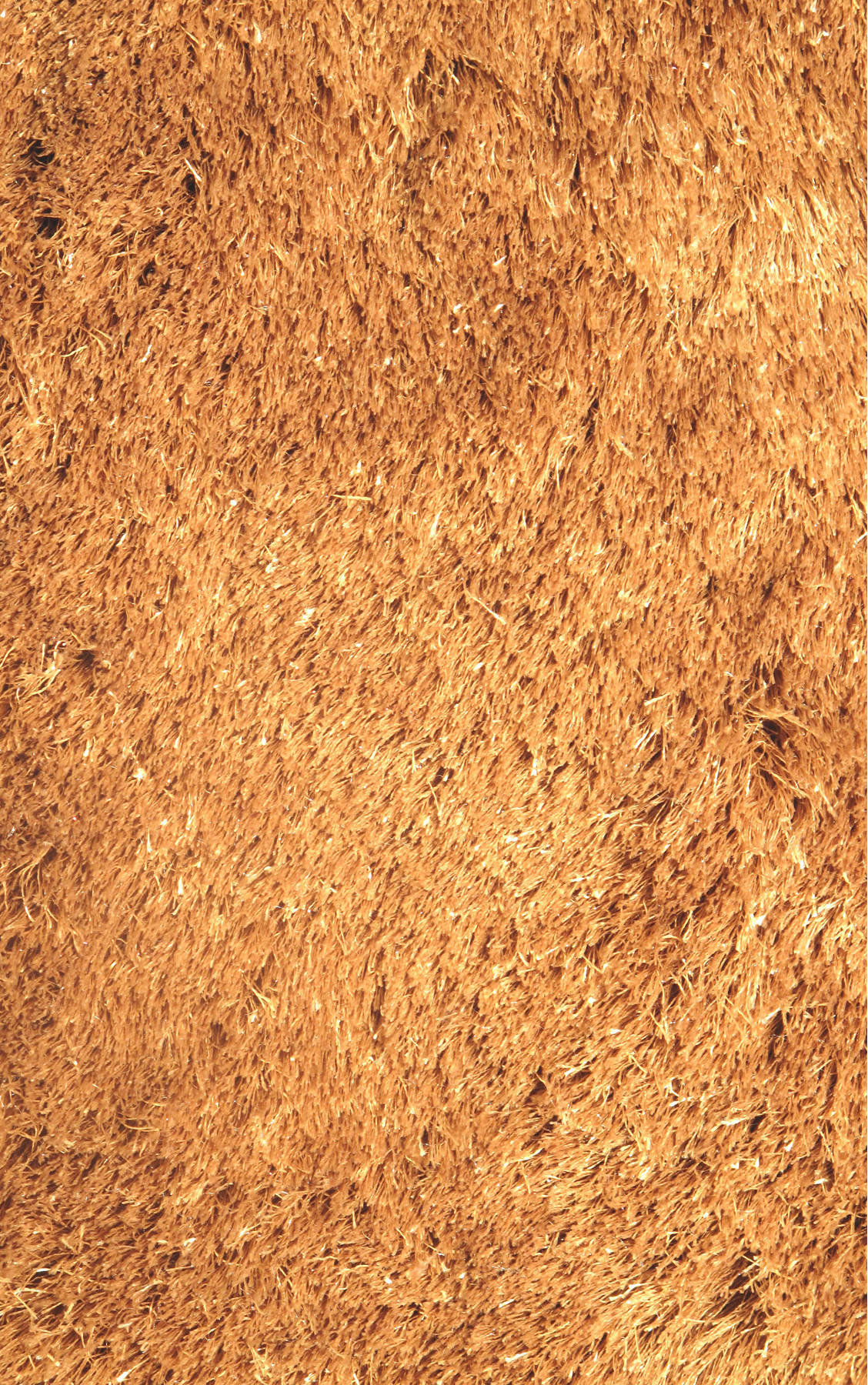 Gold Shag Area Rug Hand Made and Hand Tufted Rug, 78"x110 ...