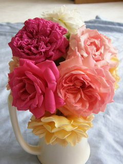 Best roses for cut flowers?