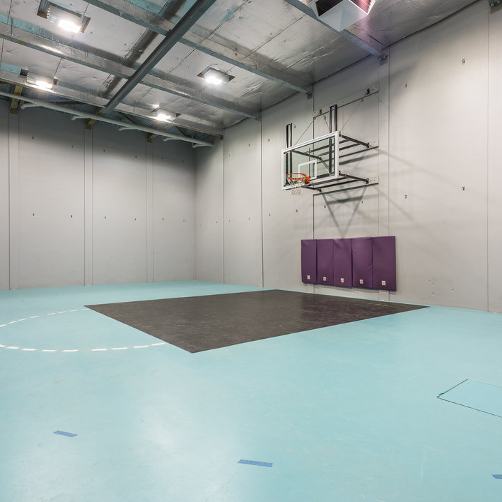 75 Beautiful Indoor Sport Court Ideas & Designs - June 2026 | Houzz AU