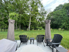 Boring Backyard | Houzz Forum