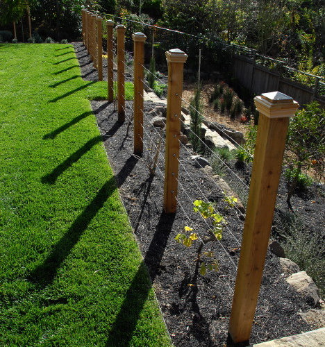 Berry Trellis | Houzz