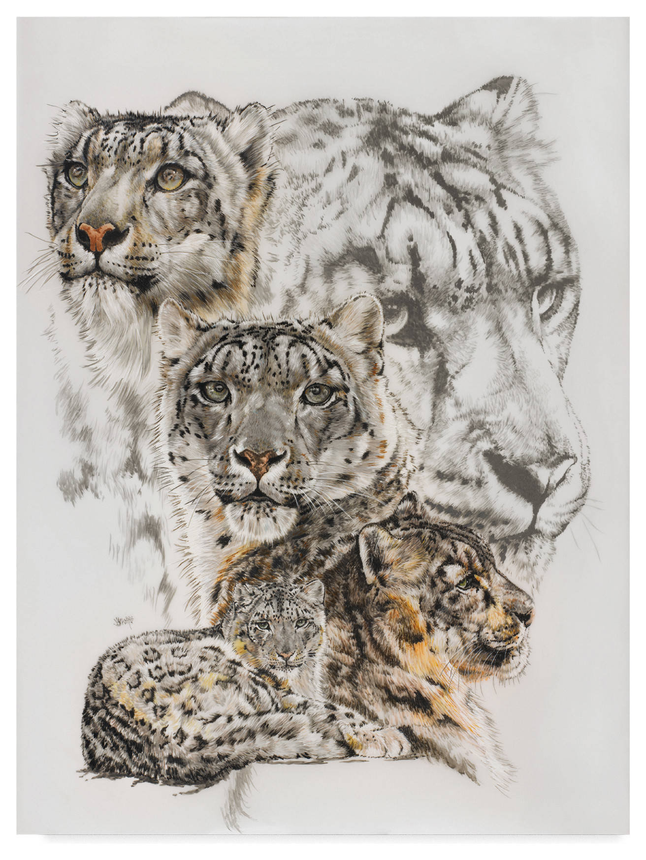 "Snow Leopard And Ghost" by Barbara Keith, Canvas Art, 47"x35 ...