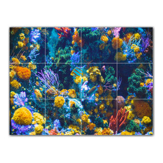 Coral Ceramic Tile Wall Mural HZ500430, 32" Wide x 24" High - Beach ...