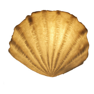 White Sandstone Finish Clam Shell Coastal Art Accent Lamp, Medium ...