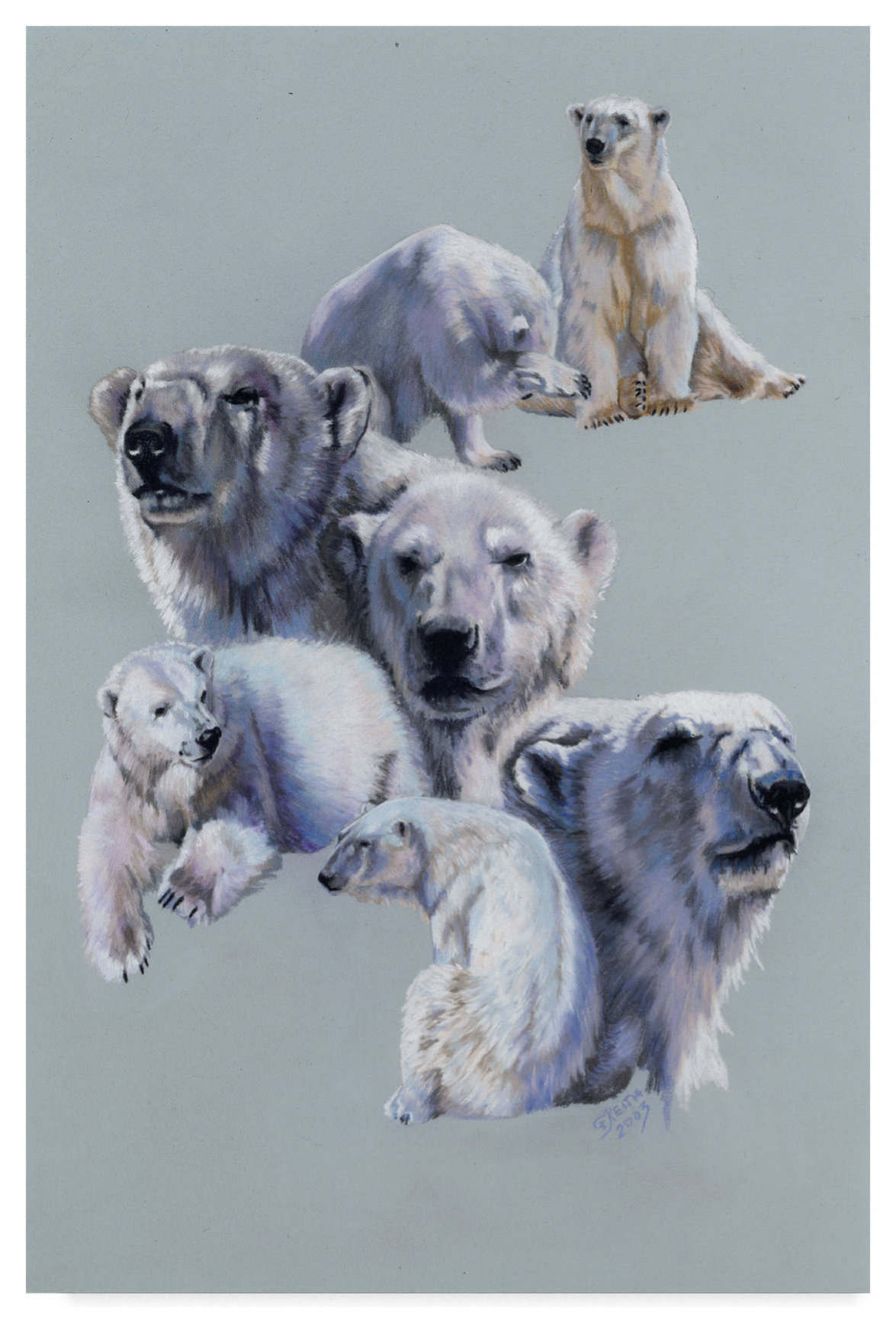 "Arctic King" by Barbara Keith, Canvas Art, 16"x24" - Contemporary ...