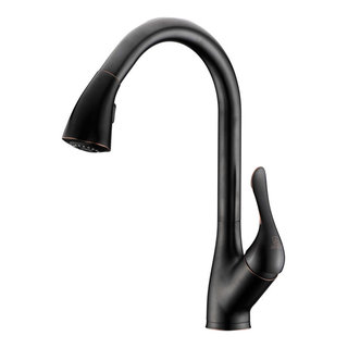 Accent Single-Handle Pull-Down Sprayer Kitchen Faucet, Oil Rubbed ...