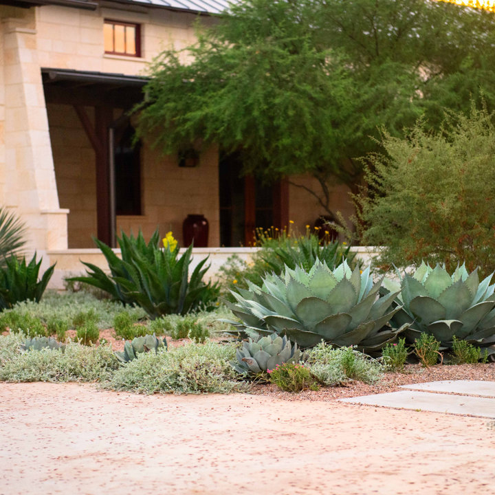 75 Beautiful Xeriscape Ideas & Designs - December 2024 | Houzz AU