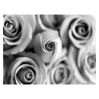 Monotone Bouquet Poster Print by Tracey Telik - Item # VARPDXTKRC128G2 ...