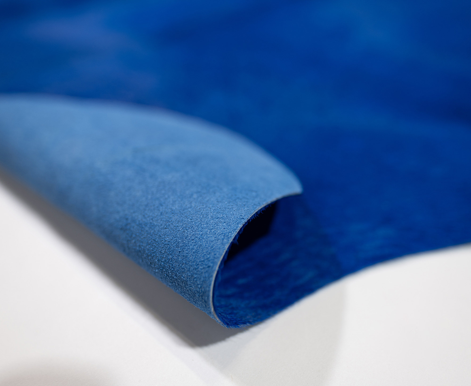 Brazilian Cowhide Rug, Dyed Navy Blue - Contemporary - Novelty Rugs ...