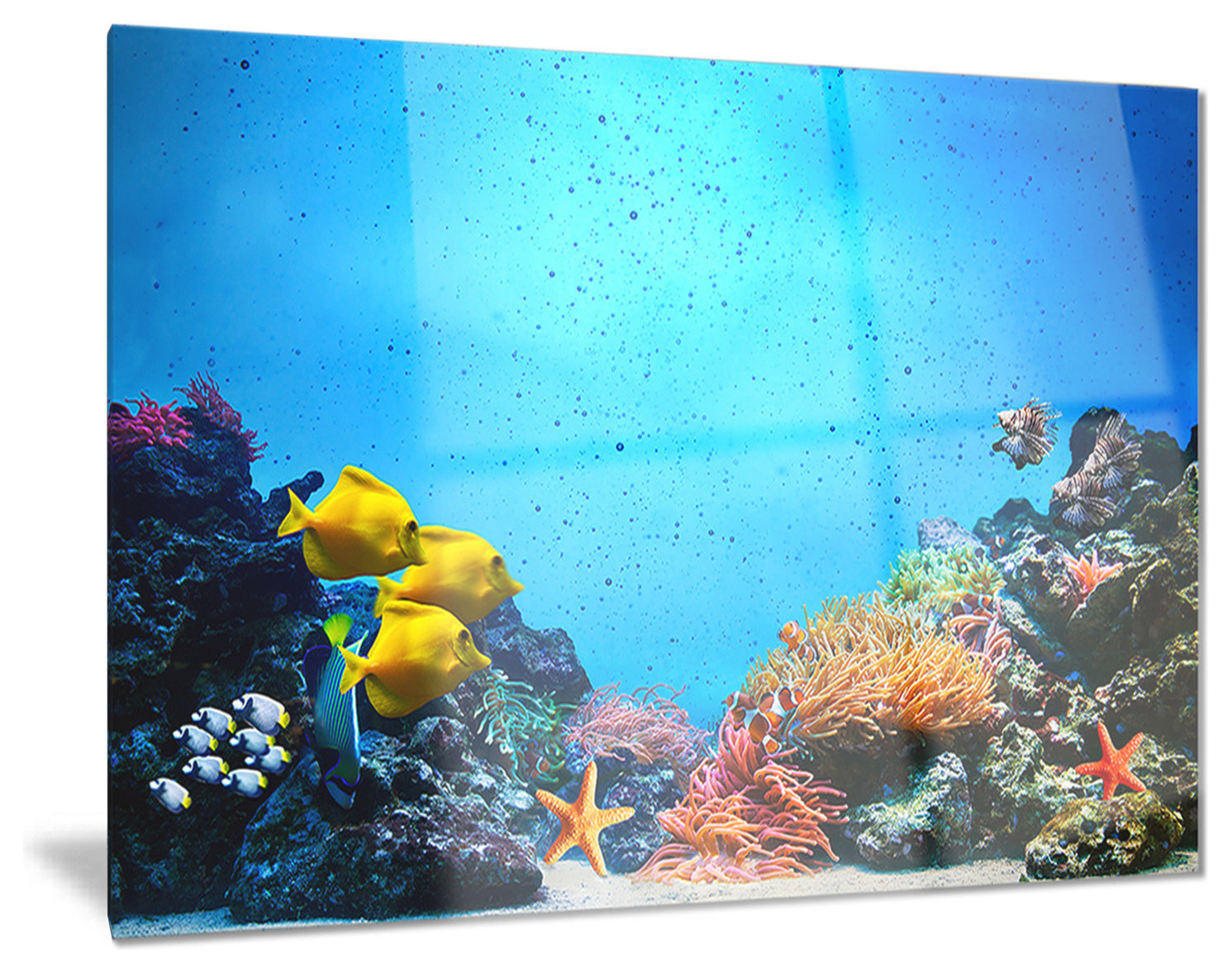 "Underwater Scene" Photography Glossy Metal Wall Art, 28"x12" - Beach ...