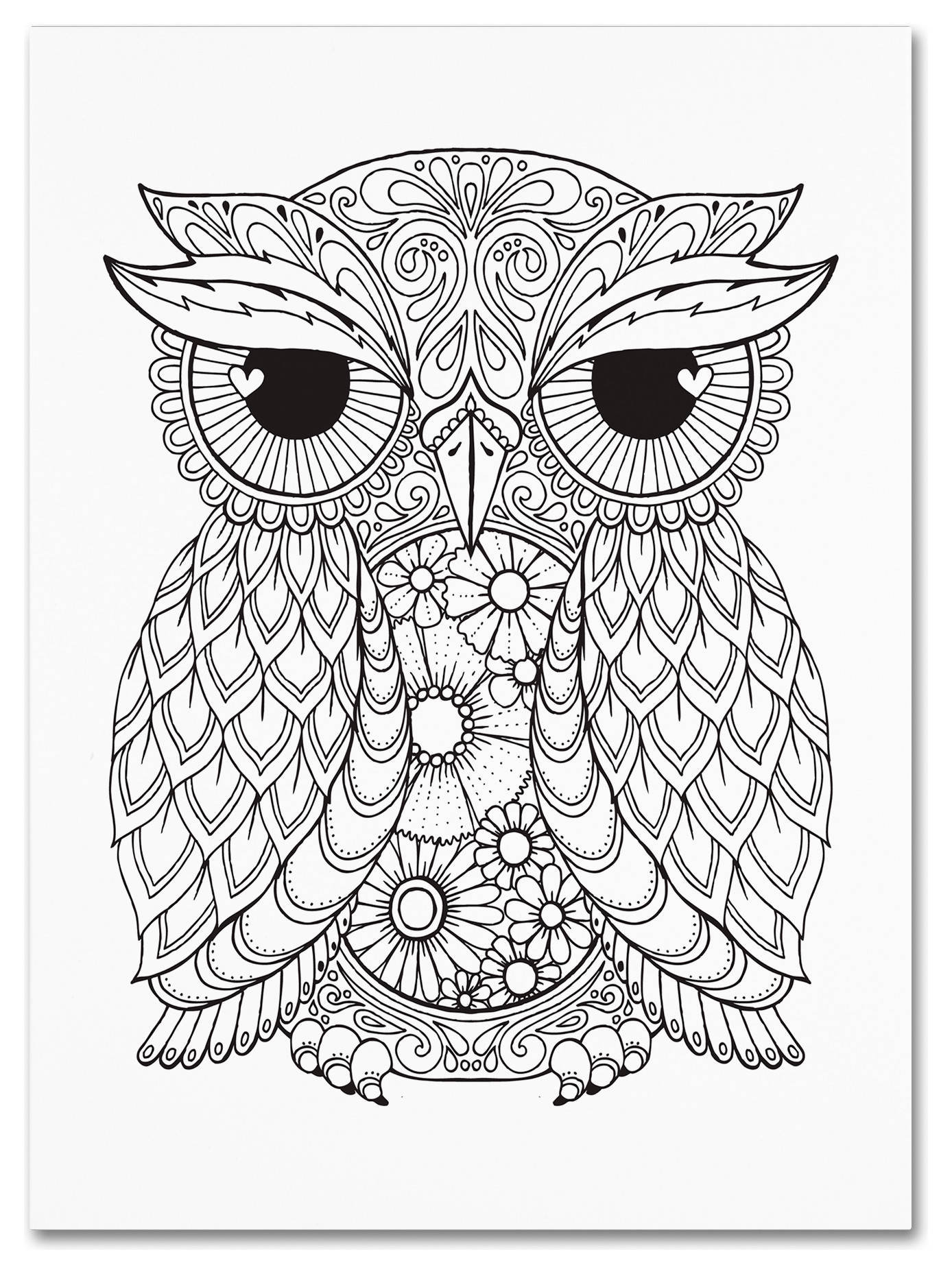Hello Angel 'Owl 2' Canvas Art, 32"x24" - Contemporary - Prints And ...