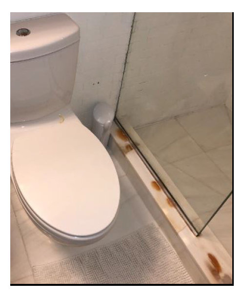 Help! Shower marble rust stains?!