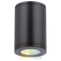 Tube Architectural 5" LED Color Changing Flush Mount Spot Beam, Black ...