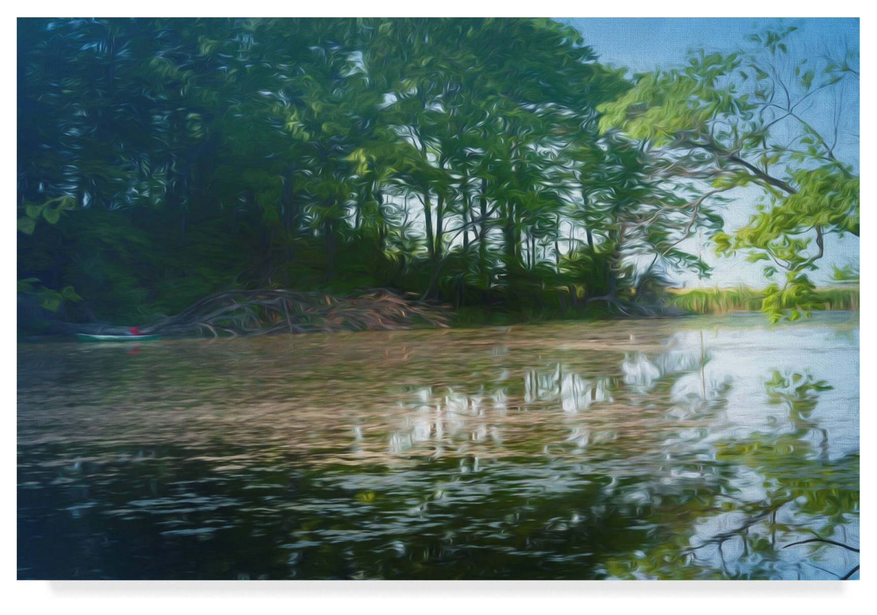 "Early Moring Light On Swamp" by Anthony Paladino, Canvas Art, 30"x47 ...