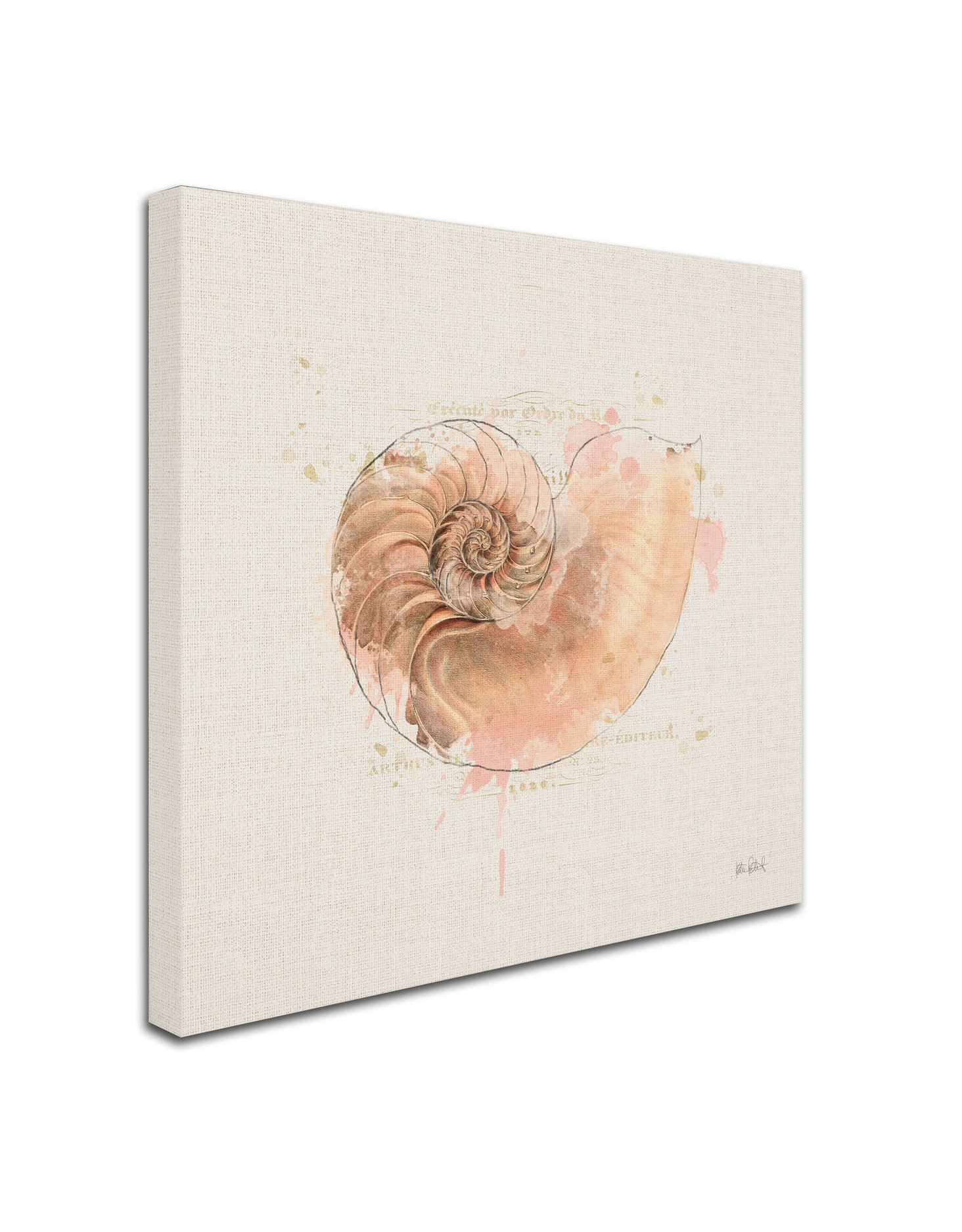 Katie Pertiet 'Shell Collector II' Canvas Art, 18"x 18" - Beach Style ...