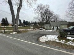 Property Line Border: What would you plant?