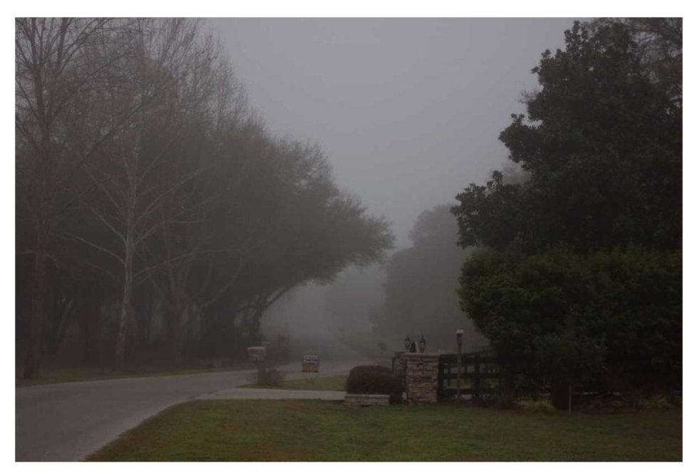 "Morning Mist" Digital Paper Print by Jonathan Babb, 24"x17", 32"x22 ...