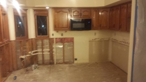 Kitchen Help - Remodeling after Flooding