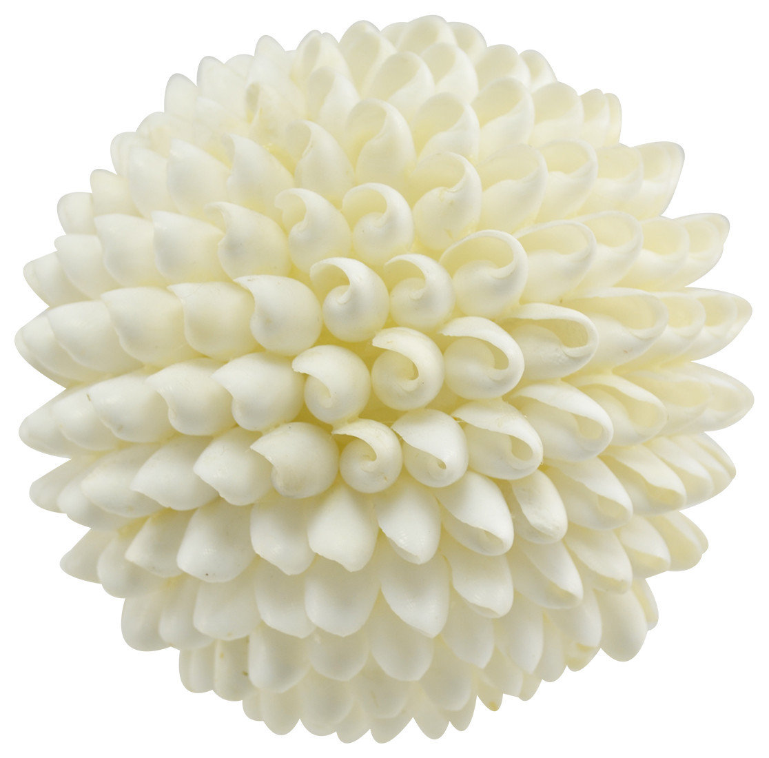 White Shell Bubble Ball, Medium - Beach Style - Decorative Objects And ...