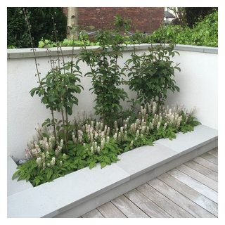 Bowden House - Contemporary - Garden - Manchester - by Aralia ...