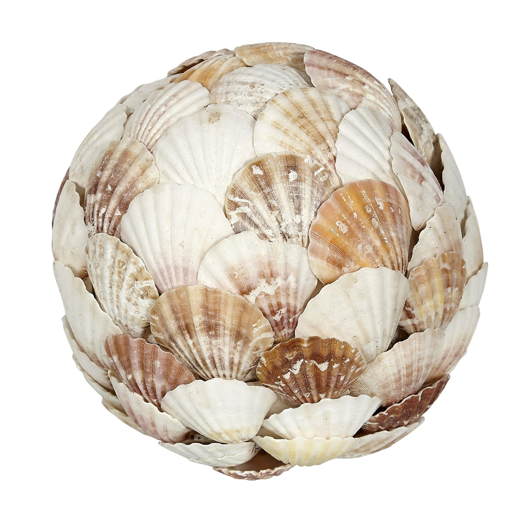 Scallop Shell Orb, 6" - Beach Style - Decorative Objects And Figurines ...