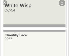 trim color for BM White Wisp