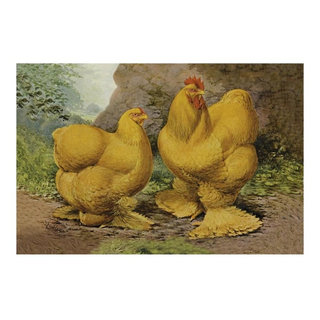 "Chickens: Buff Cochins" Digital Paper Print by Lewis Wright, 20"x14 ...