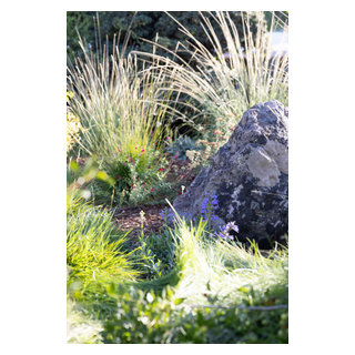 Heij Habitat Garden, Sunnyvale - Eclectic - Landscape - San Francisco ...
