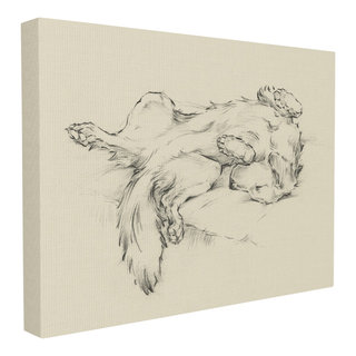 Dog Napping Pet Animal Drawing, 30"x40" - Contemporary - Prints And ...