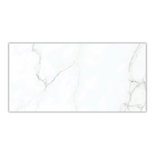 Rapsodia Bellezza Bianca Polished 24x48 Porcelain Tile, 24x48 ...