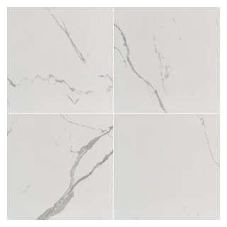 Eden Statuary 24X24 Polished Porcelain Tile - Traditional - Wall And ...