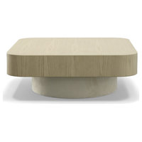 Modrest Teller Modern Square Coffee Table - Transitional - Coffee ...