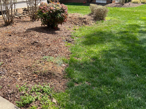 Edging/border Suggestions