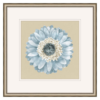 Daisy 4, Giclee Reproduction Artwork, 25.75x25.75 - Traditional ...