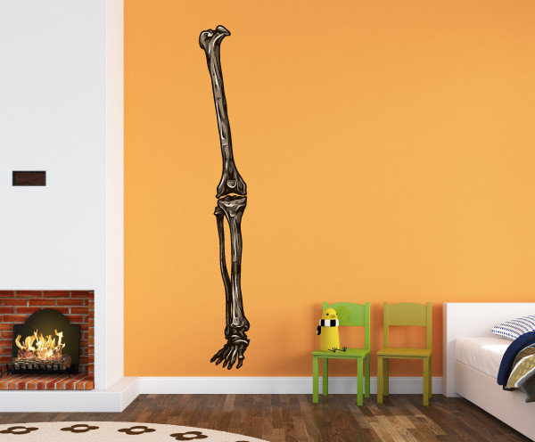 Skeleton Bone Vinyl Wall Decal SkeletonBoneUScolor002, 48 in ...