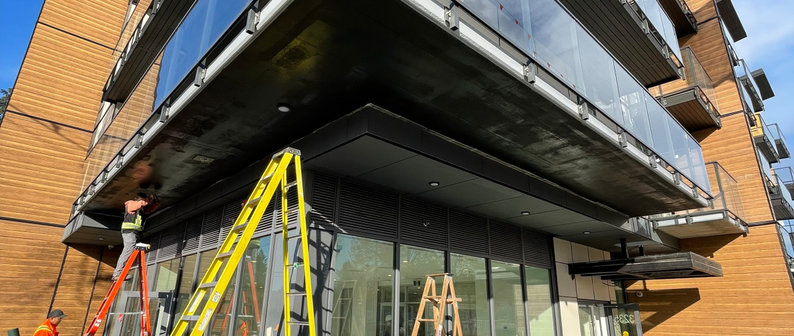 ALI TORABI PAINTING - Project Photos & Reviews - Coquitlam, BC CA | Houzz