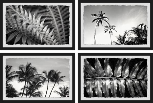 4-Piece "Palm Trees Quadriptych" Artwork, 90"x60" - Tropical - Prints ...
