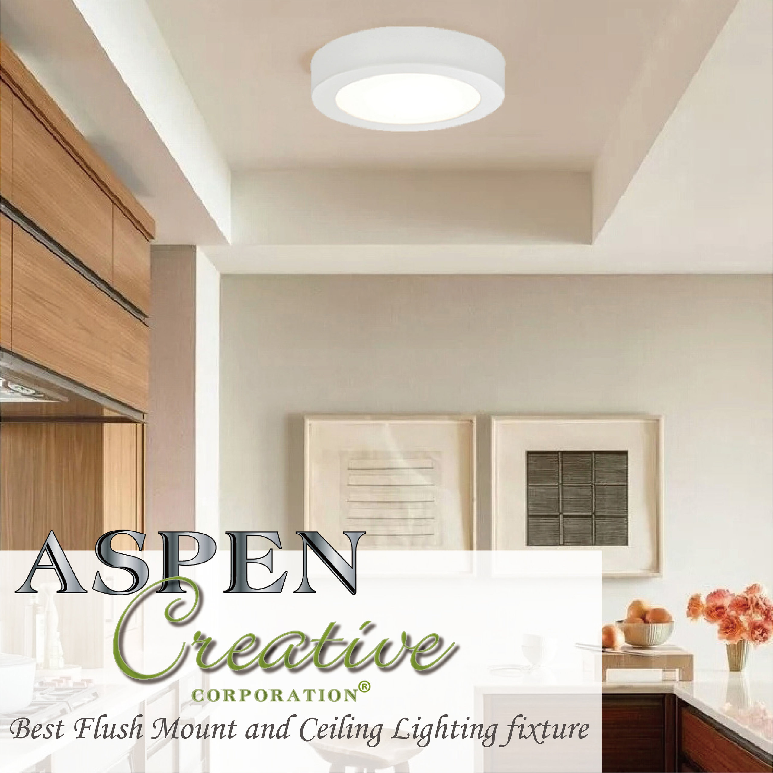 63002L-2 LED Large Flush Mount Ceiling Light Fixture, White 11 ...