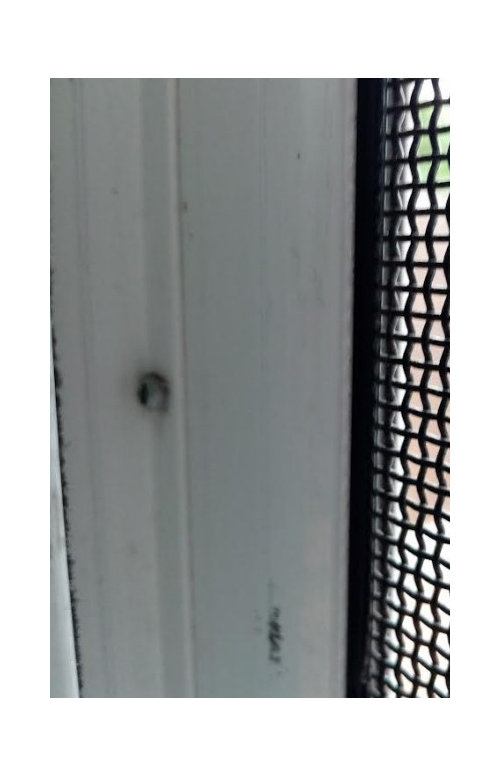 Fly-screen removal | Houzz Forum